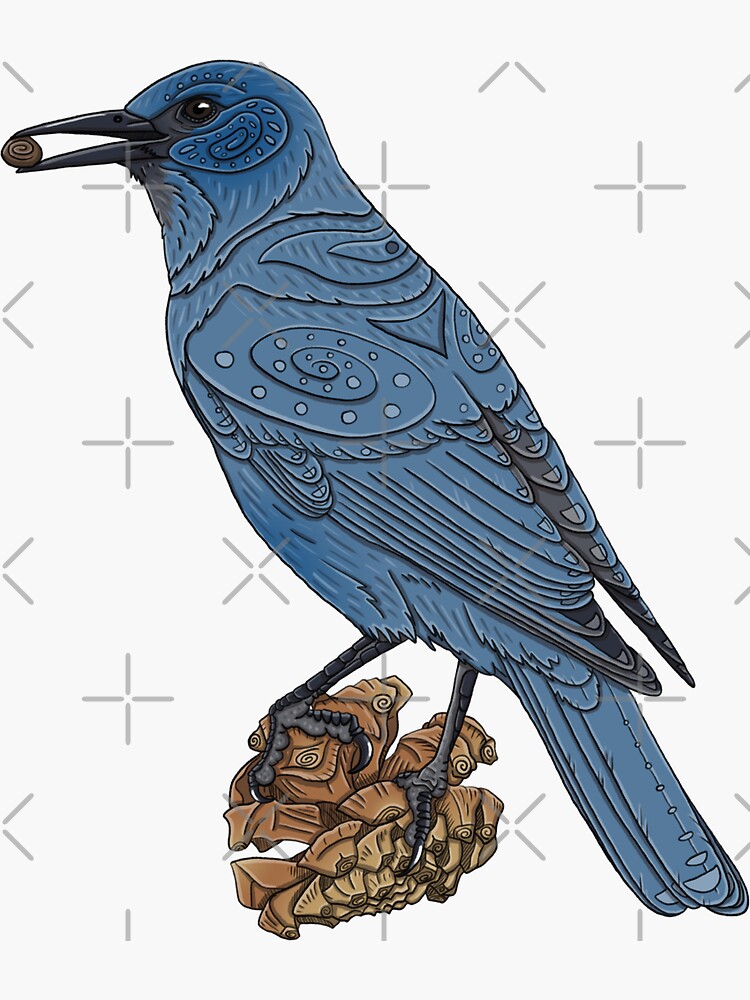 "Pinyon Jay" Sticker for Sale by Corvus-latrans | Redbubble
