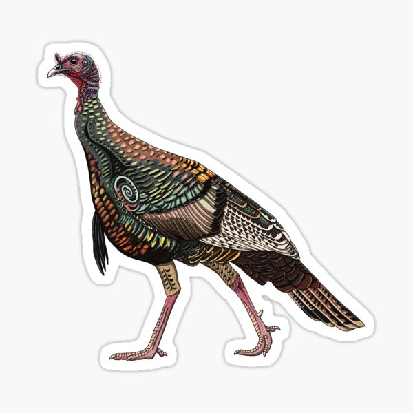 "Turkey" Sticker for Sale by Corvus-latrans | Redbubble