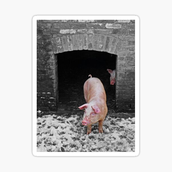 "Venturing Out" Sticker by Yampimon | Redbubble