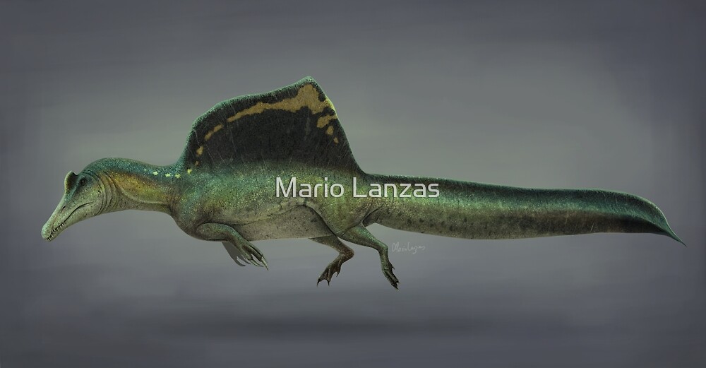 "Swimming Spinosaurus . 2020 update" by Mario Lanzas | Redbubble