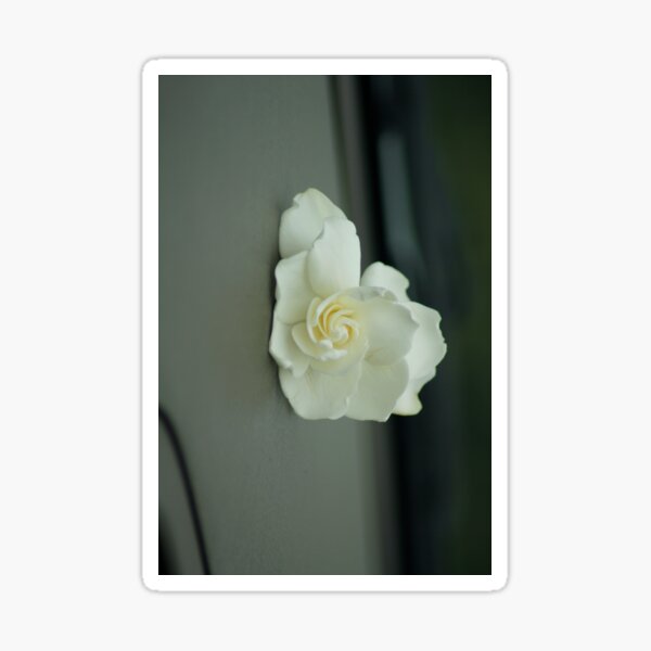 "Gardenia Flower " Sticker for Sale by AnthonyRae | Redbubble