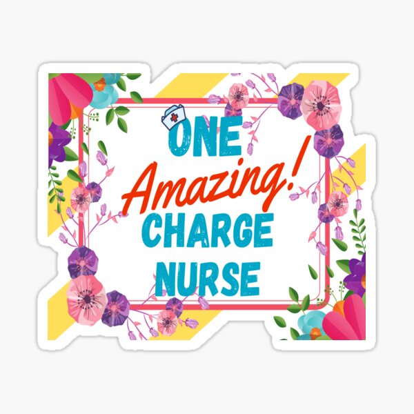 Charge Nurse Stickers | Redbubble