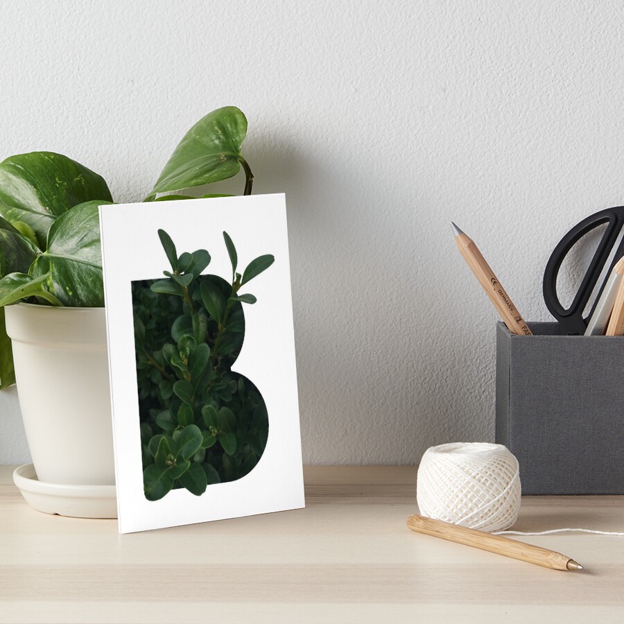 "Floral Letter B - Buxus sempervirens - Autumn font" Art Board Print ...