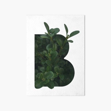 "Floral Letter B - Buxus sempervirens - Autumn font" Art Board Print ...