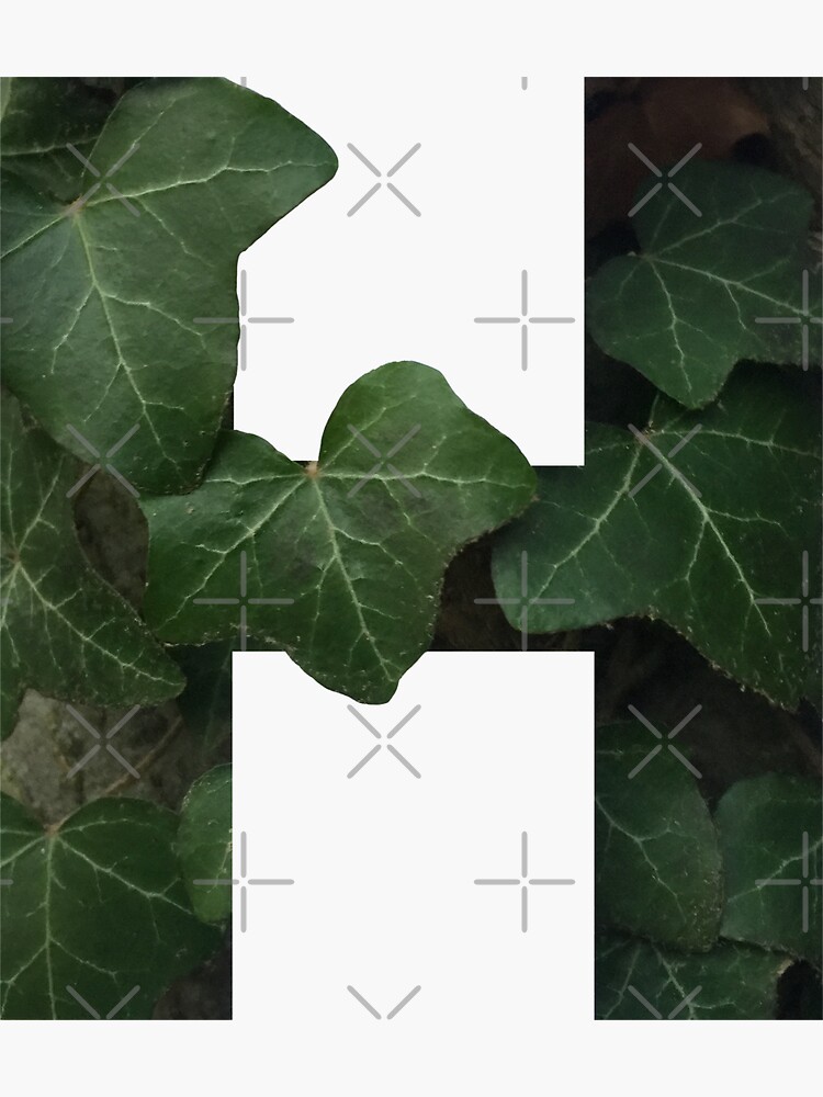 "Floral Letter H - Hedera Helix - Autumn font" Sticker for Sale by ...