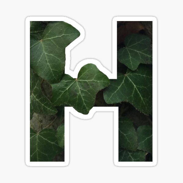 "Floral Letter H - Hedera Helix - Autumn font" Sticker for Sale by ...