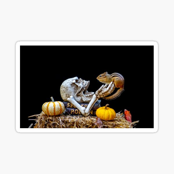 "Spooky Chipmunk with skull and pumpkins " Sticker for Sale by iyd39 ...