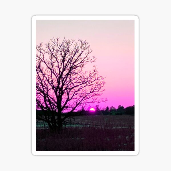 "Pink sky " Sticker for Sale by vilipen | Redbubble