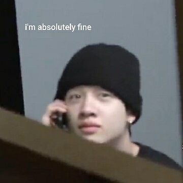 "Bang Chan cellphone meme" Sticker for Sale by MintyLix | Redbubble