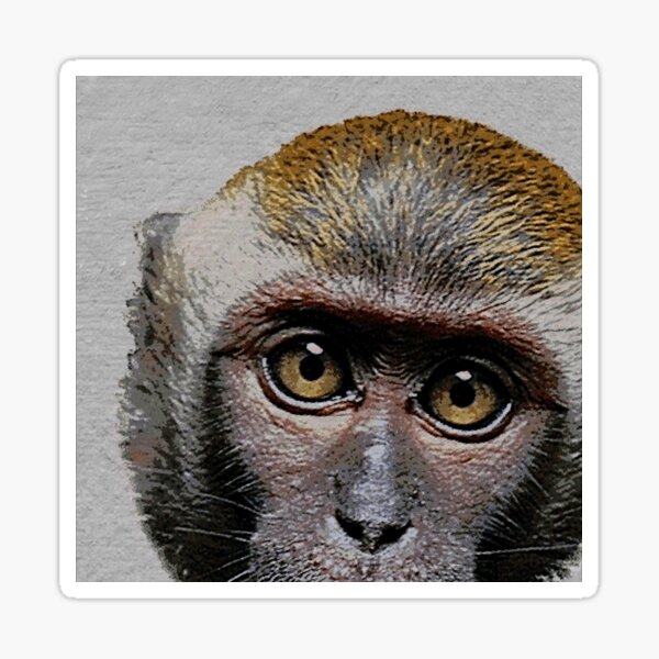 "Monkey face" Sticker by artdemarta | Redbubble