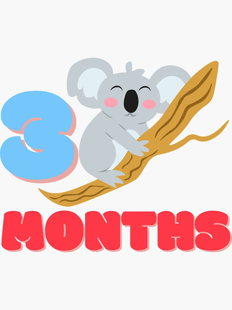 "Koala baby monthly milestone 3 month" Sticker for Sale by sully ...