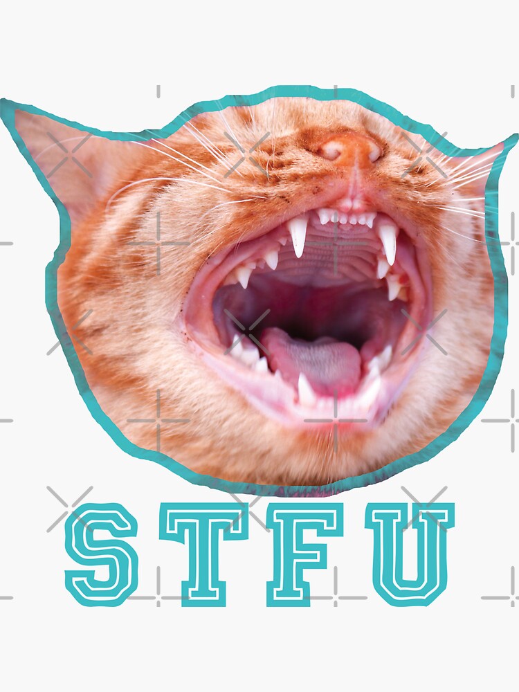 "STFU Cat" Sticker for Sale by stickmeok | Redbubble