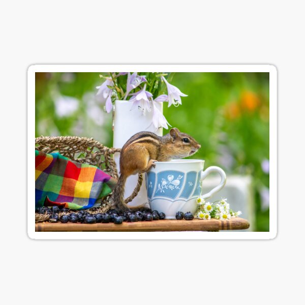"Tea time with a chipmunk " Sticker for Sale by iyd39 | Redbubble