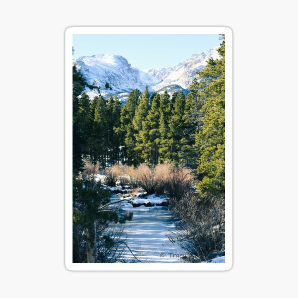 "RMNP trees and mountains" Sticker for Sale by TBirdPhotos | Redbubble