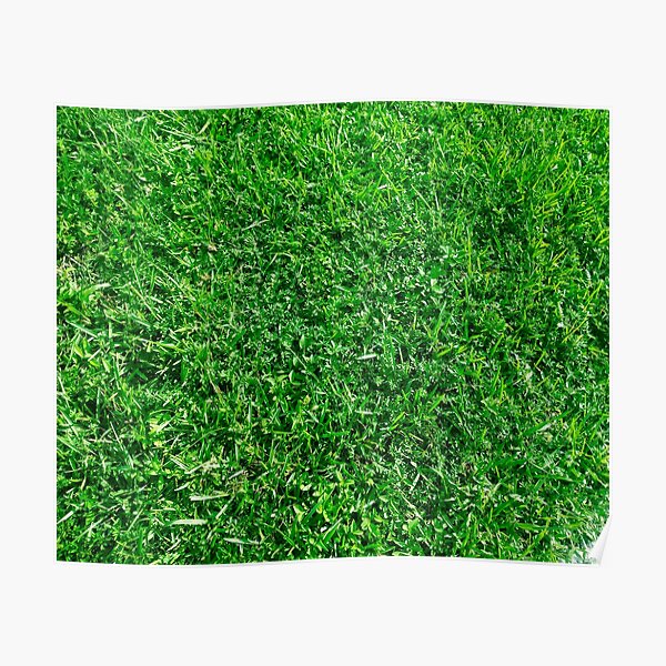 "Grass" Poster for Sale by gloriasd14 | Redbubble