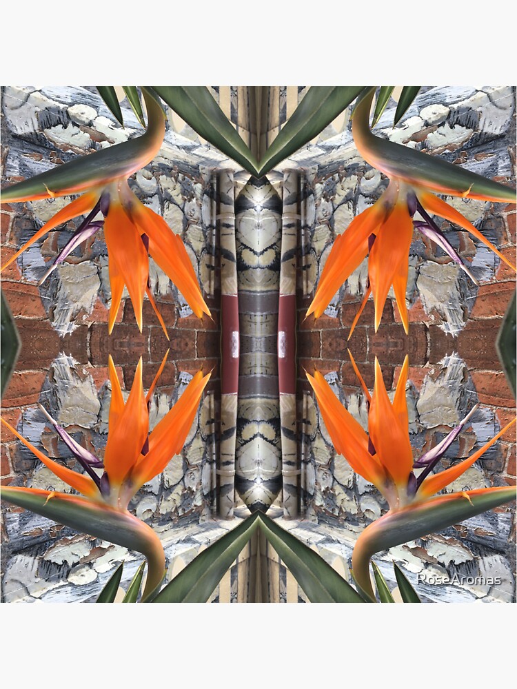 "Streetwise Strelitzias - Birds of Paradise in NOHO, nipaluna" Sticker ...