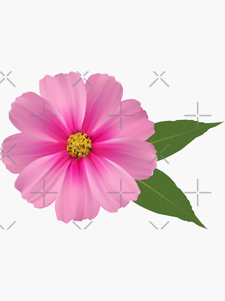 "Pink Cosmos Flower" Sticker for Sale by LorinMar | Redbubble