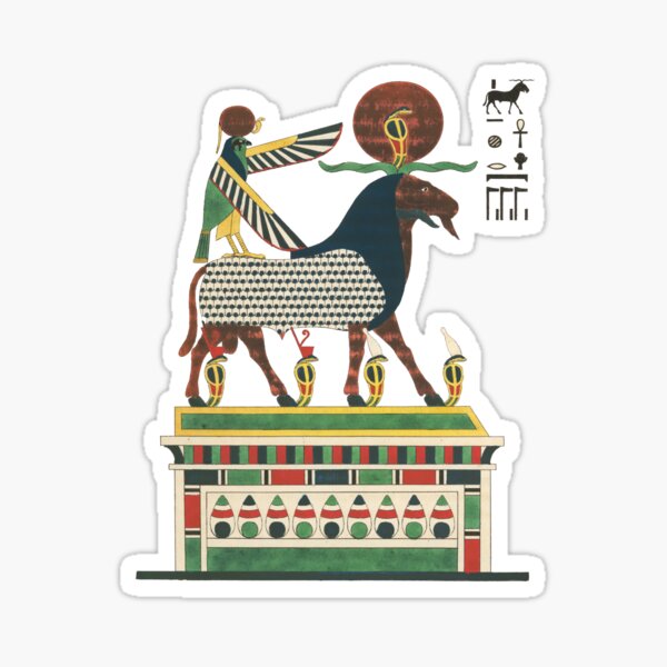 "Amon" Sticker for Sale by Photopicture | Redbubble