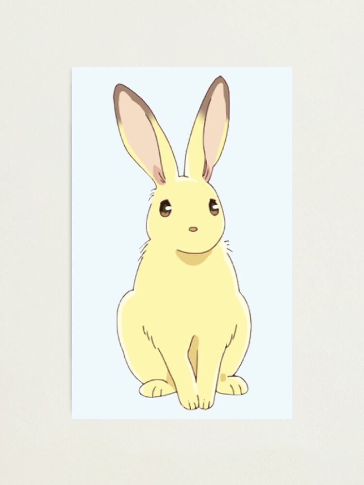 "Fruits Basket Momiji Sohma Full Body (Rabbit Form)" Photographic Print ...