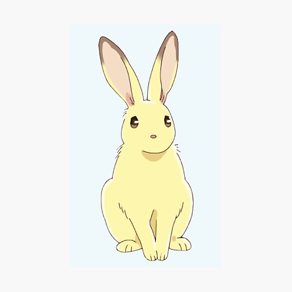 "Fruits Basket Momiji Sohma Full Body (Rabbit Form)" Photographic Print ...