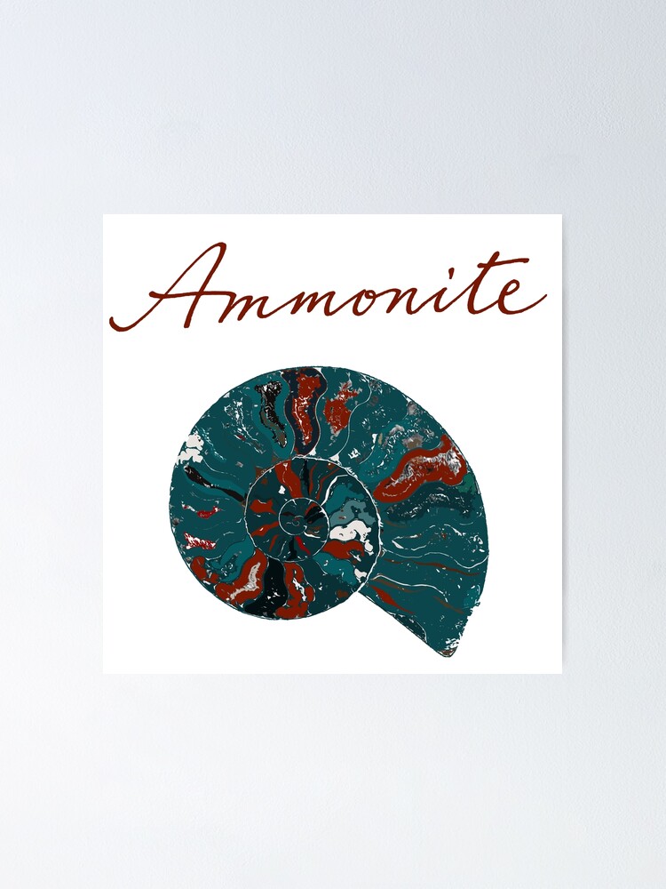 Ammonite Movie Posters For Sale Redbubble | atelier-yuwa.ciao.jp