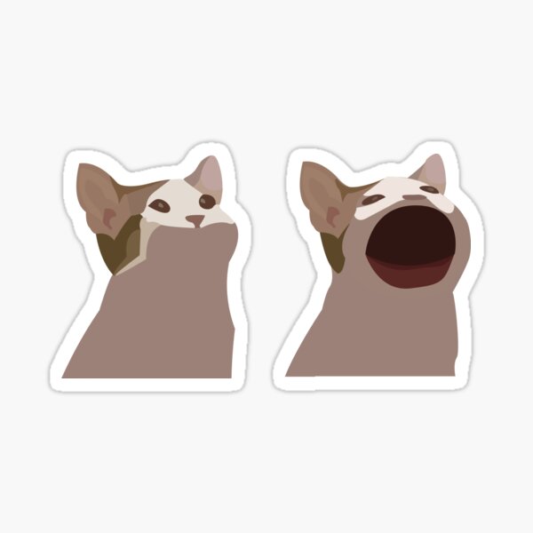 "popping cat meme" Sticker for Sale by ruelf16 | Redbubble