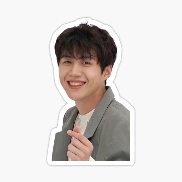 "Mr Dimples Kim Seon ho Oppa" Sticker for Sale by AngelsOnline | Redbubble