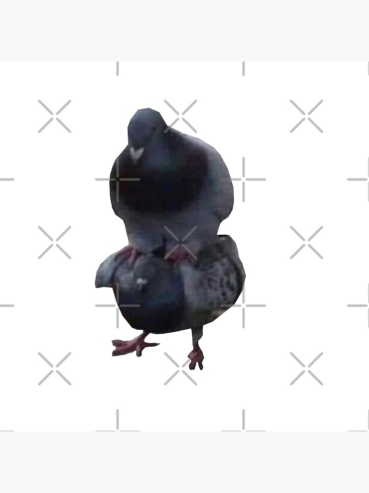 "Pigeon Stack" Poster by Silasi | Redbubble