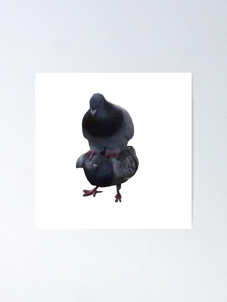 "Pigeon Stack" Poster by Silasi | Redbubble