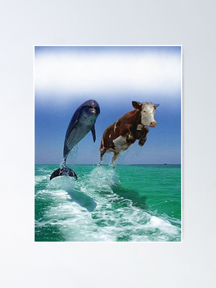 "Dolphin and cow" Poster for Sale by 108189421 | Redbubble