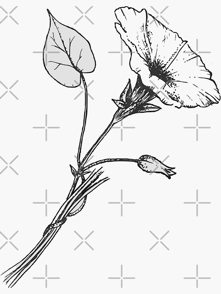 "Moon flower" Sticker for Sale by enami | Redbubble