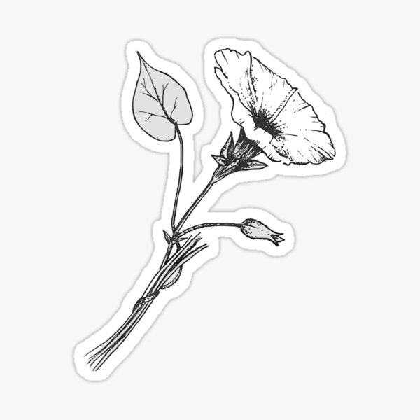 "Moon flower" Sticker for Sale by enami | Redbubble