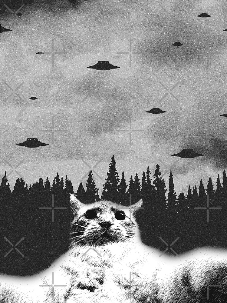 "Alien UFO Funny Cat Gift, Cat lover, Funny cat meme" Photographic ...