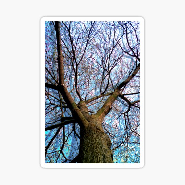 "Simulation" Sticker by fatedesigns | Redbubble