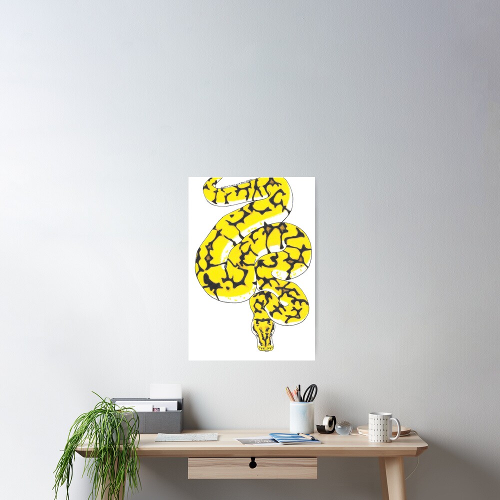"Spider Ball Python " Poster for Sale by TinkerandBone | Redbubble