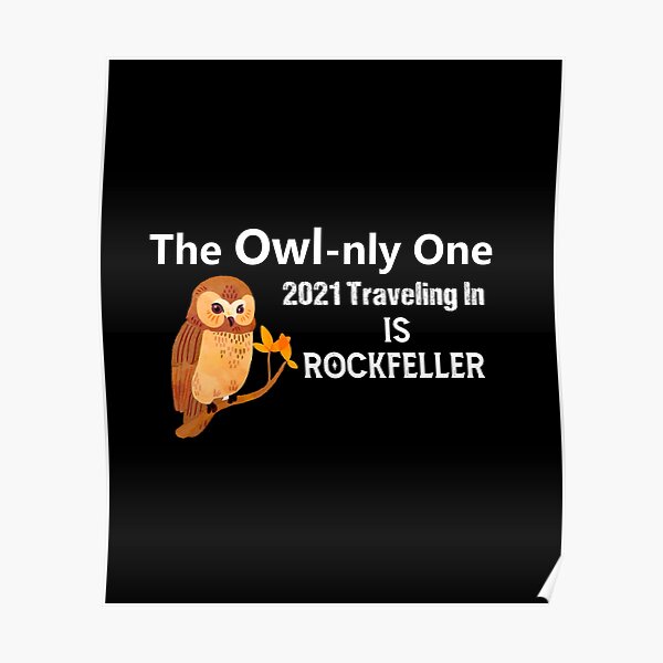 "Rockefeller Owl In Christmas Tree 2021 - the owl-nly one traveling in ...