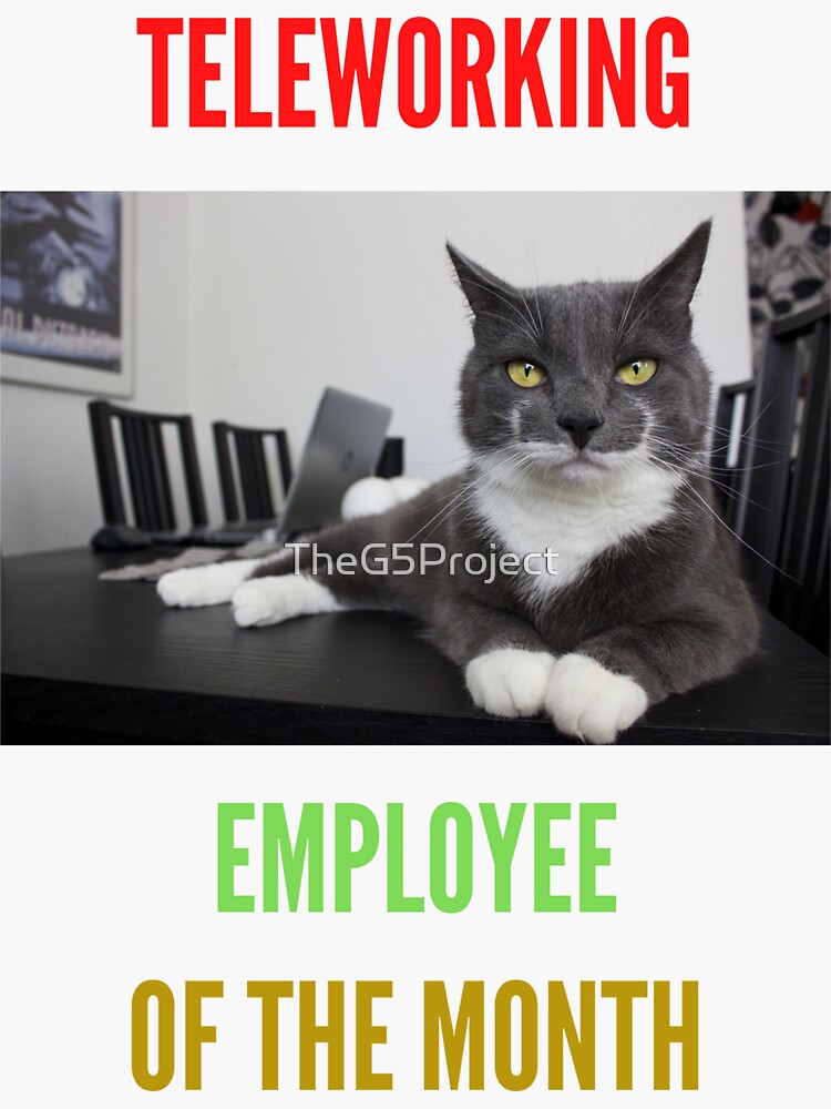 "Teleworking Cat II" Sticker for Sale by TheG5Project | Redbubble