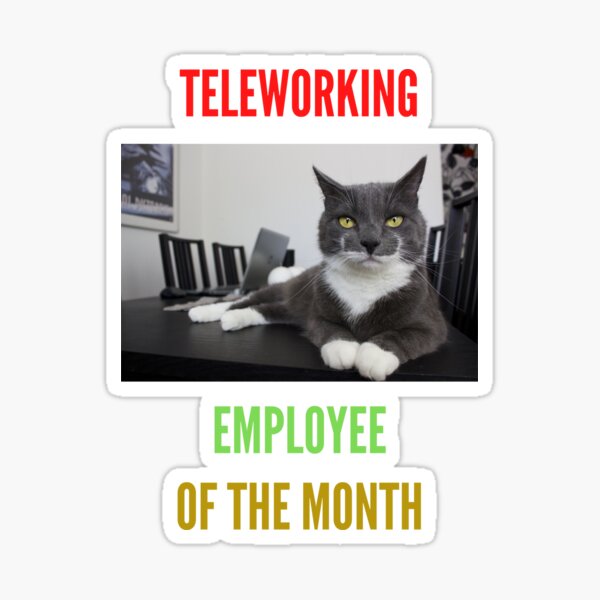 "Teleworking Cat II" Sticker for Sale by TheG5Project | Redbubble