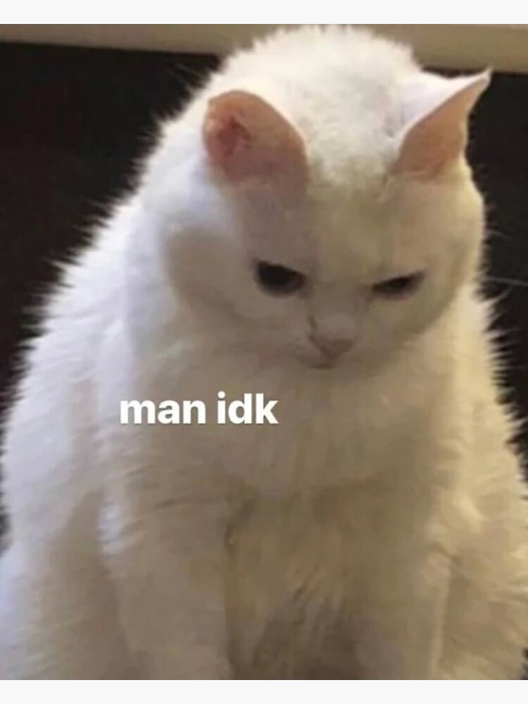 "man idk cat " Sticker for Sale by stellaheine14 | Redbubble