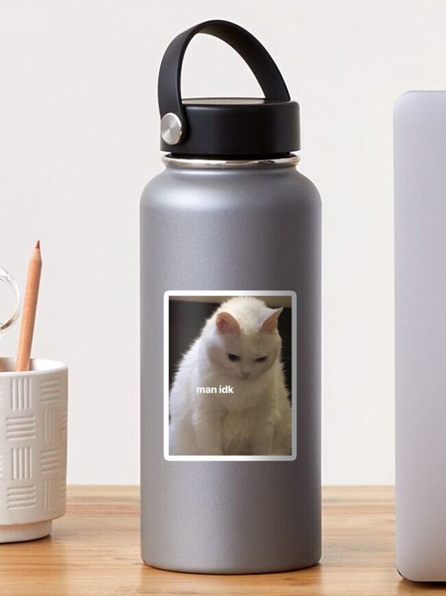 "man idk cat " Sticker for Sale by stellaheine14 | Redbubble