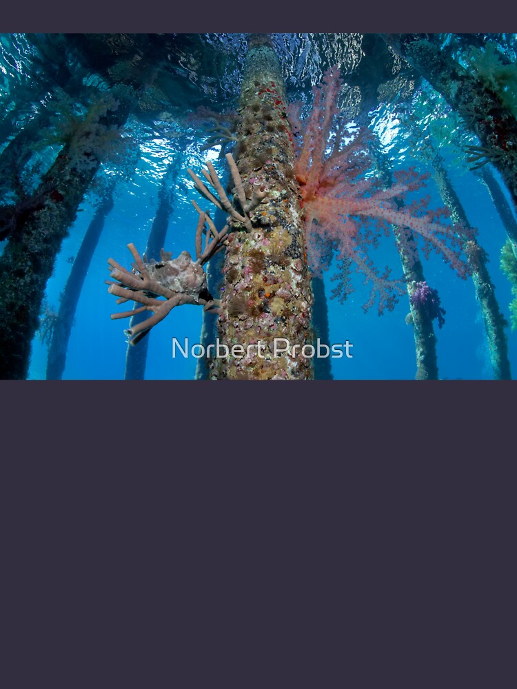 "Finding Froggy" T-shirt for Sale by Kameranobs | Redbubble ...