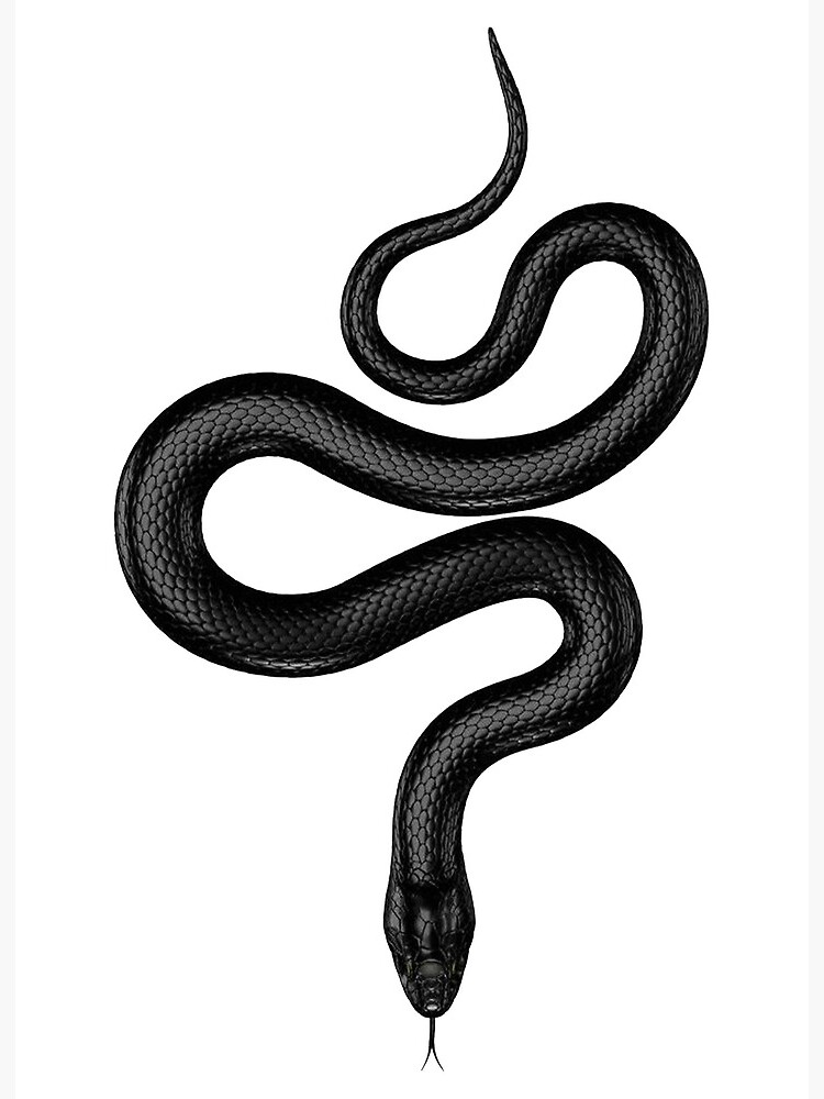 "BLACK SNAKE" Art Board Print for Sale by egemeneroglu35 | Redbubble