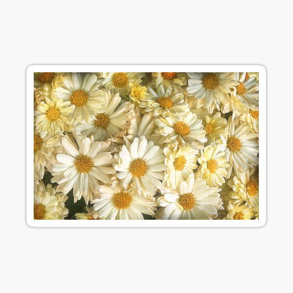 "Mellow Yellow" Sticker for Sale by MsTique | Redbubble