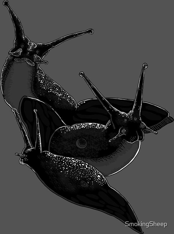 "Black slugs" by SmokingSheep | Redbubble