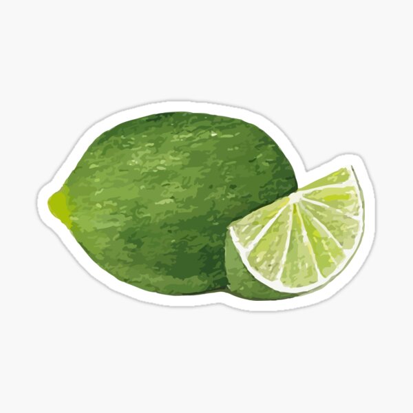 "Lime" Sticker for Sale by TeriRobbins | Redbubble