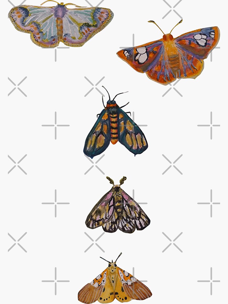 "Sigils and Moths Watercolor" Sticker by 3vaN | Redbubble