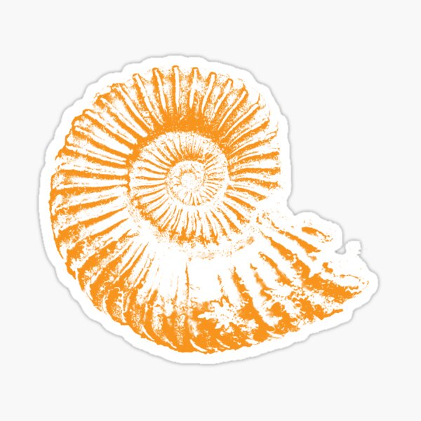 "Paleontologists gift idea - Ammonite fossil" Sticker for Sale by ...