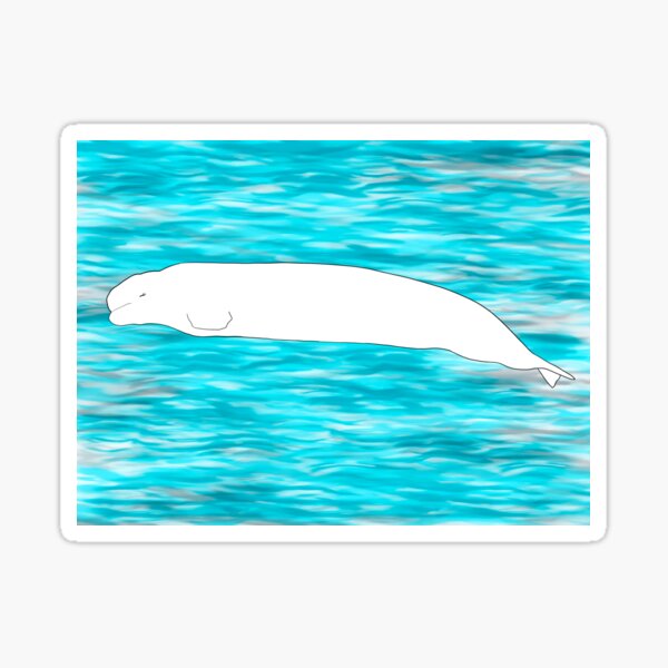 "Ocean Beluga" Sticker for Sale by brooke1392 | Redbubble