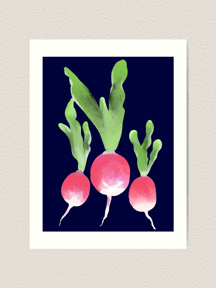 "Radish" Art Print for Sale by CarrotCollectiv | Redbubble