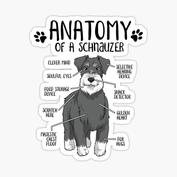 "Funny Miniature Schnauzer Anatomy Dog Owner Dog Lover" Sticker for Sale by la-nynx | Redbubble